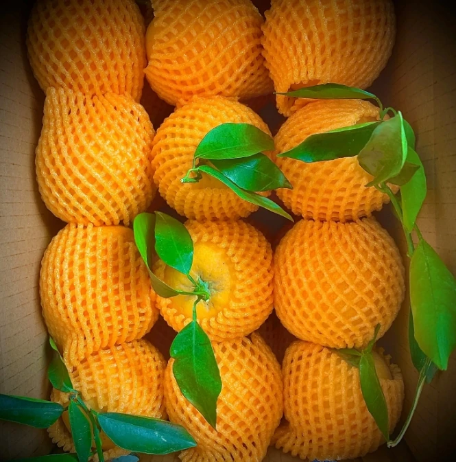 High Quality Chinese Fresh Mandarin Oranges With Cheap Price Fresh ...