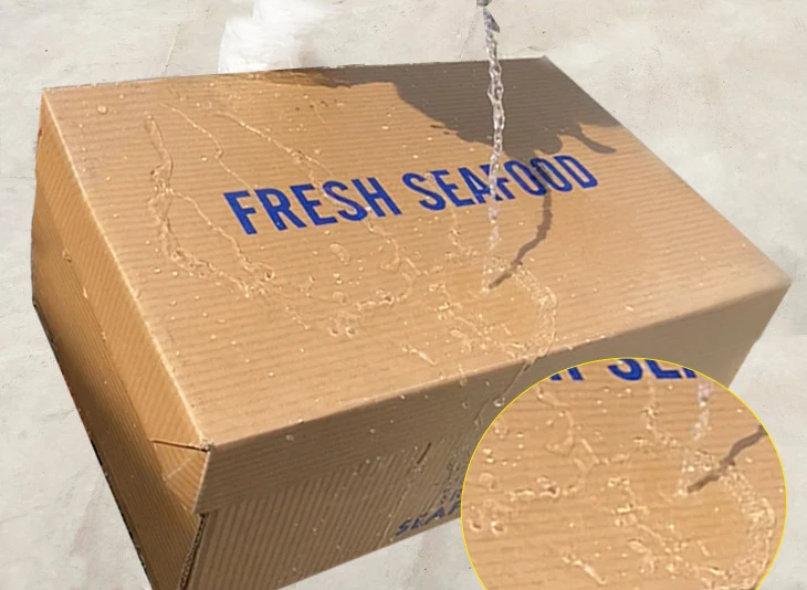 Custom Large Heavy Duty Corrugated Cardboard Fish Box