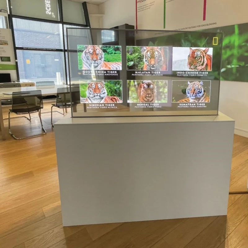 55 Inch LG OLED Transparent Android Advertising Screen