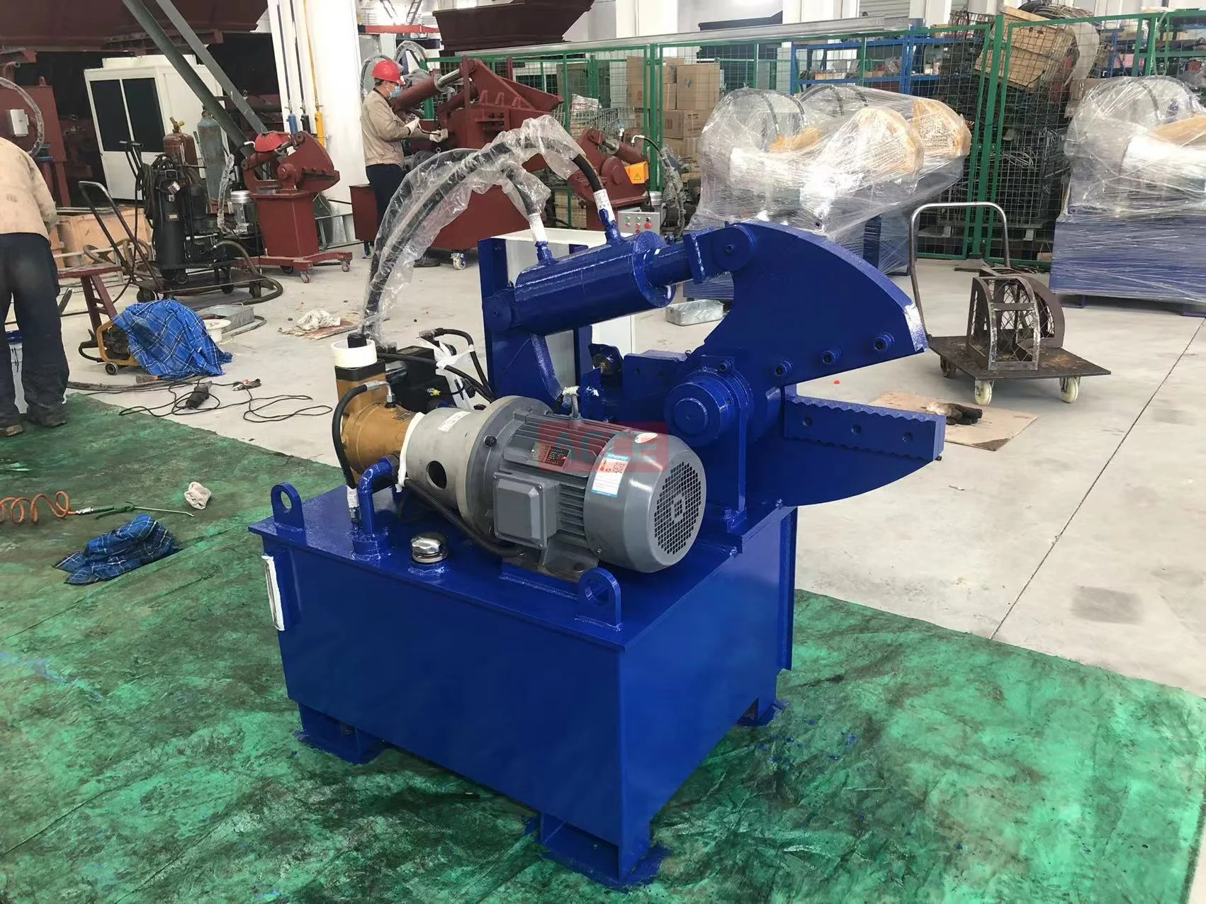 Alligator Metal Cutting Shearing Machine - 3kw Hydraulic