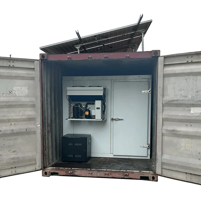 20ft Blast Freezer Container Cold Room Storage Refrigeration Unit Solor ...