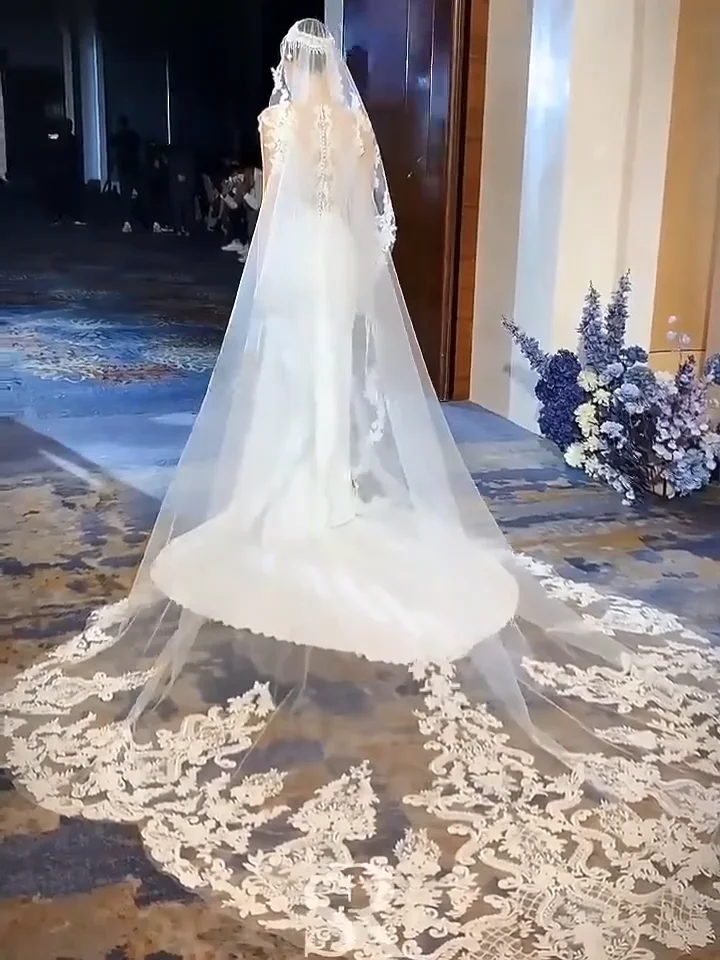 Bride Wedding Dress Veil Fancy Embroidery Ins Long And Large Trailing ...