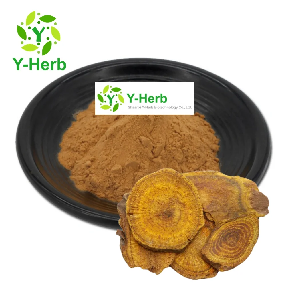 High Quality Chinese Herb Emodin Da Huang Extract Powder 10:1 Rheum ...