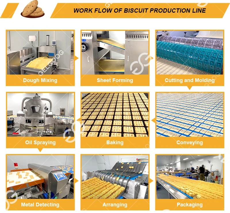 Small Scale Hard Biscuit Production Line Salty Biscuit Make Machine ...