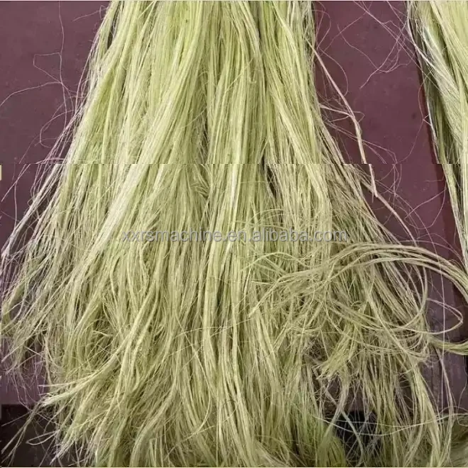Philippines-abaca-fiber-decorticator Sisal Fiber Automatic Decorticator ...