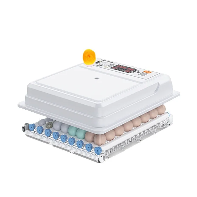 Supply Inqubator Chicken Egg Incubator 36 Eggs Hatching Machine Farm CE ...