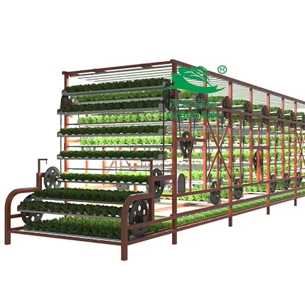 lettuce salad planting rack with fully automatic hydroponics system ...