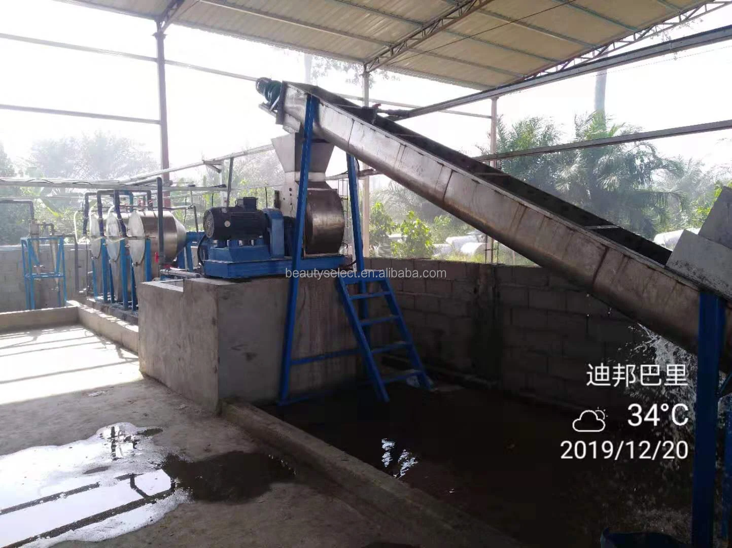 Cassava Tuber Starch Flour Processing Corn Starch Patotos Starch ...