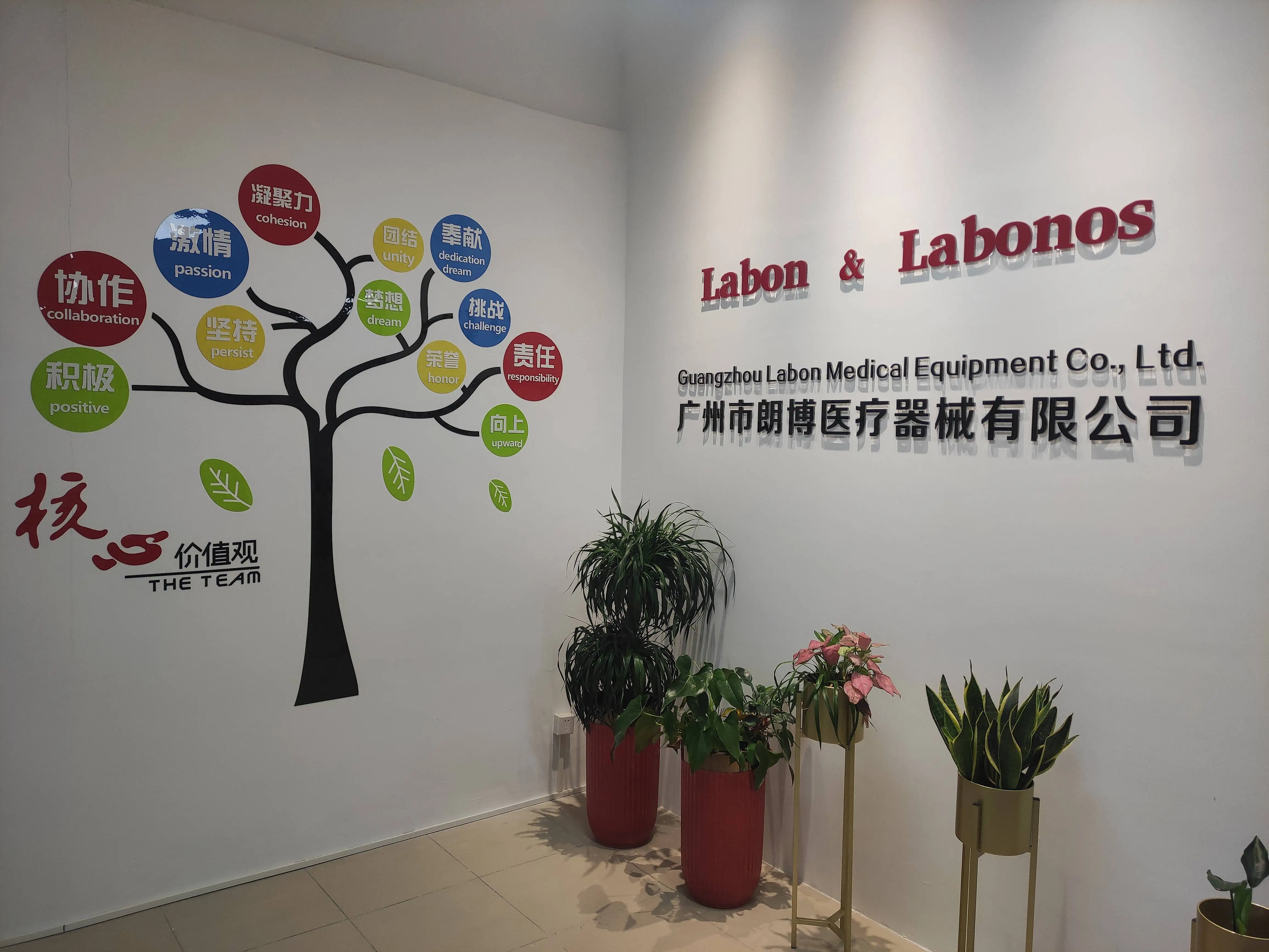 Zeiss Primostar 3 Fluorescence Microscope - Binocular/Trinocular with ...