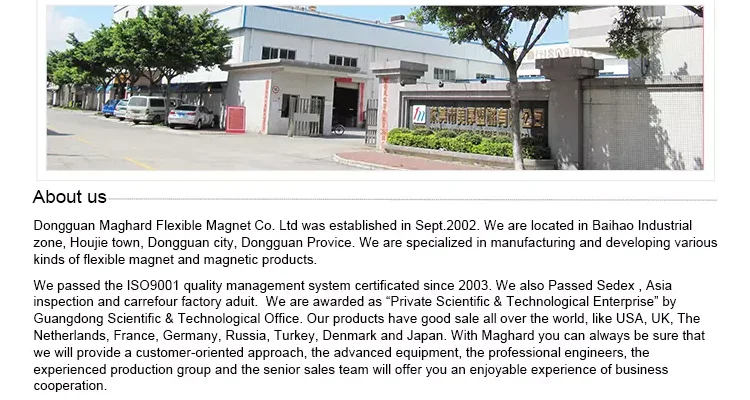 Magnetic Color Sorting Set - Preschool Circle Time Learning Activities ...