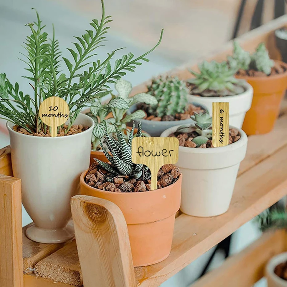 Bamboo Plant Labels Garden Plants Flowers Markers Tags Eco-Friendly ...