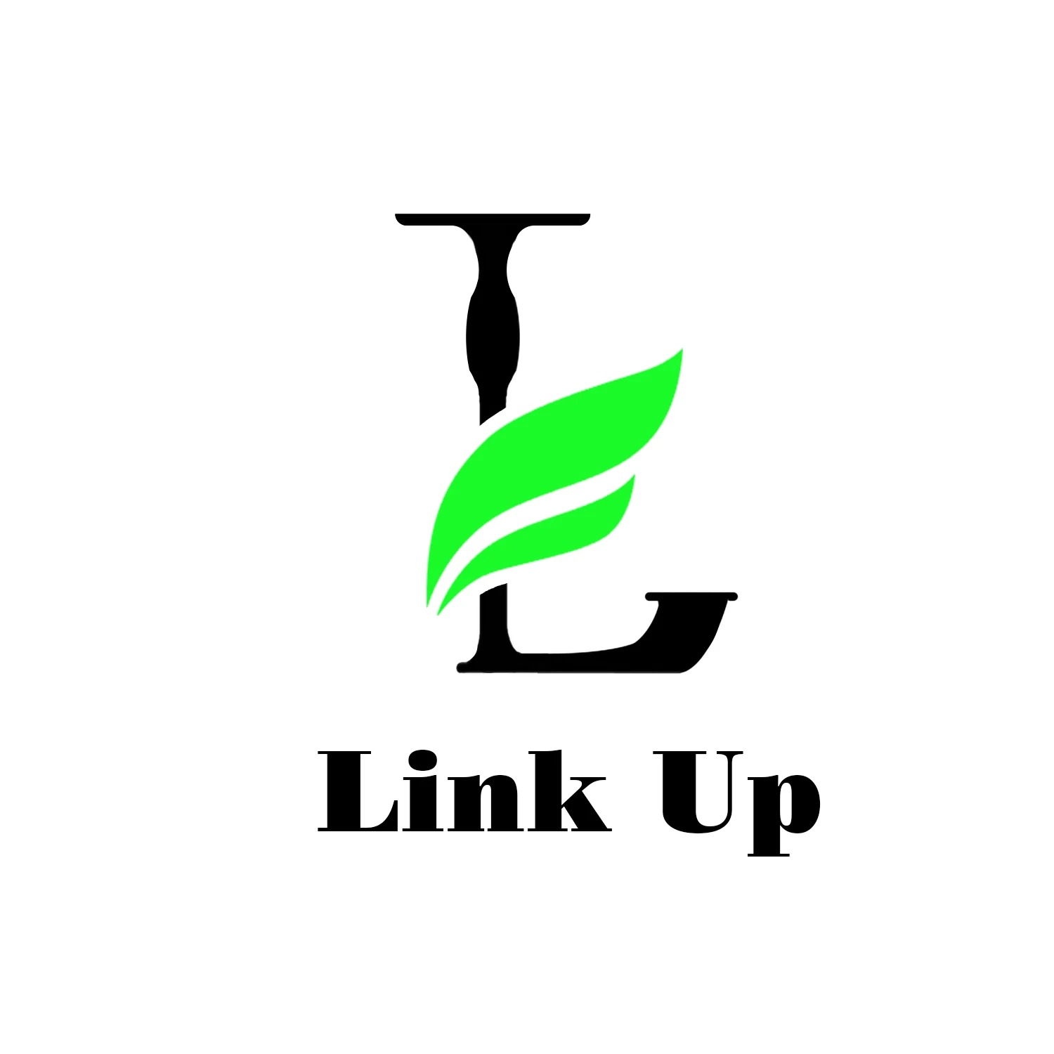 Company Overview - Link Up Technology Co., Limited