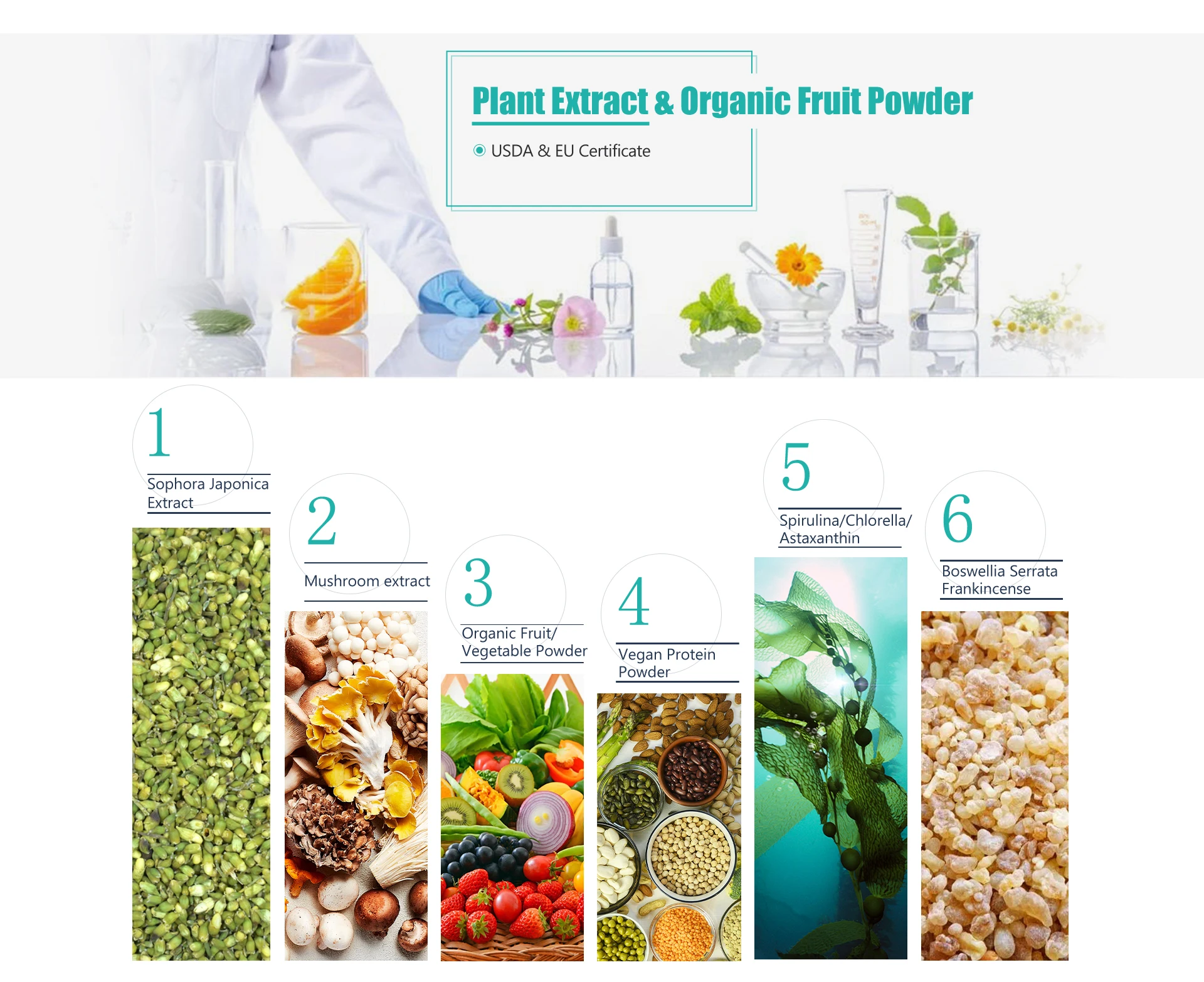 Company Overview - JHD Biochemical Co., Ltd.