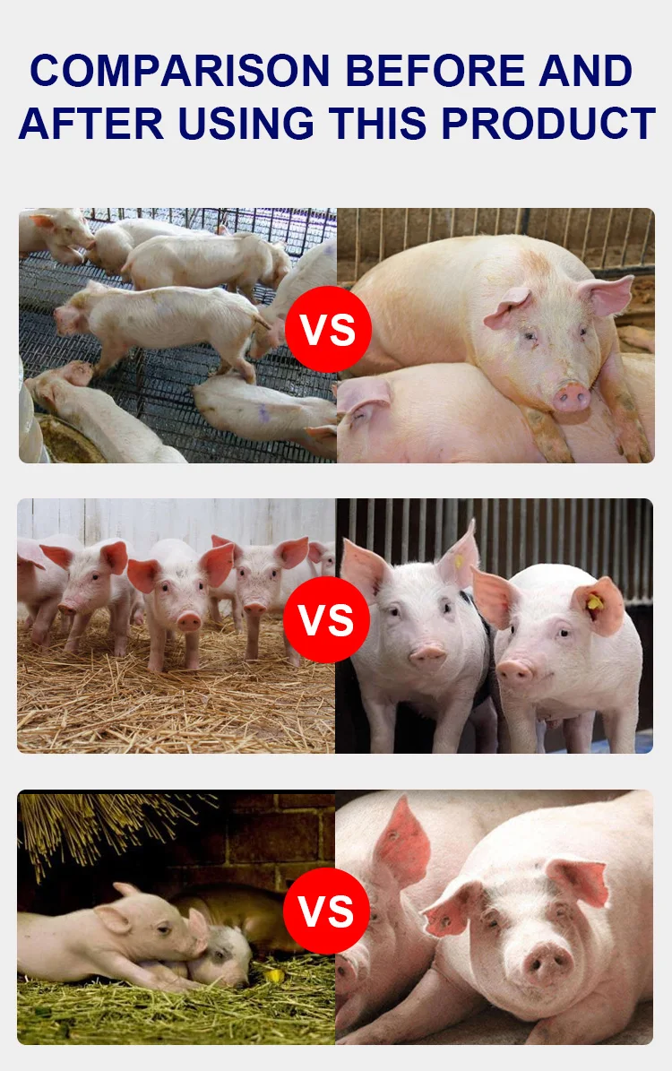 High Quality Pig Food Concentrate Feed For Swine Feeds Premix Feed To ...