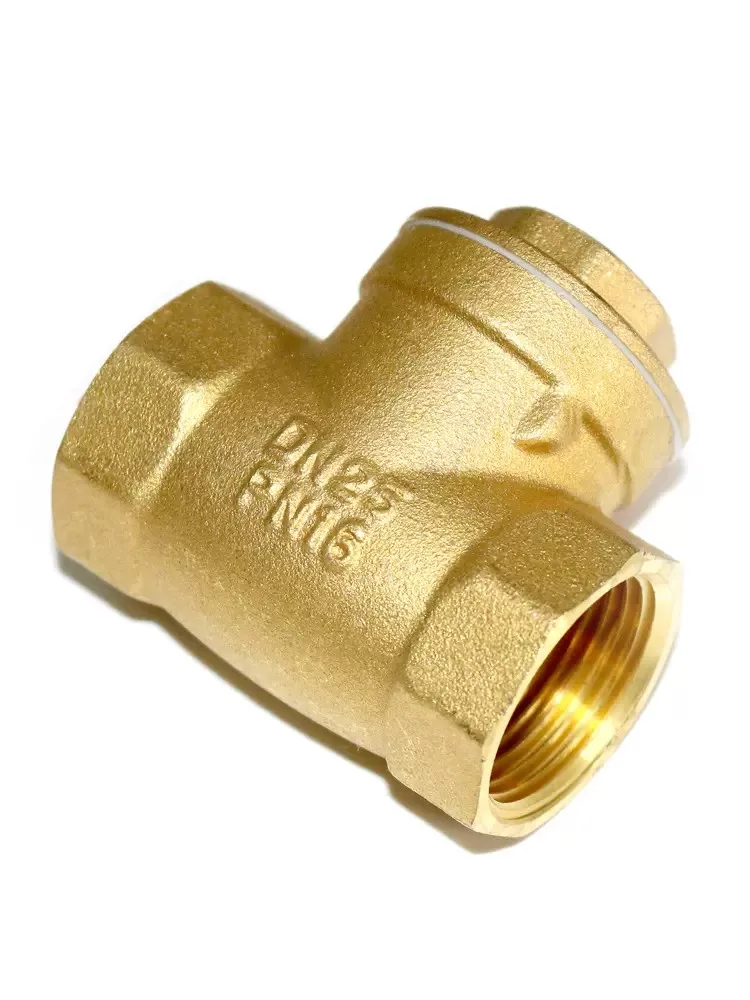 Brass Check Valves Female Threaded Horizontal Swing Spring Liquid Valve ...
