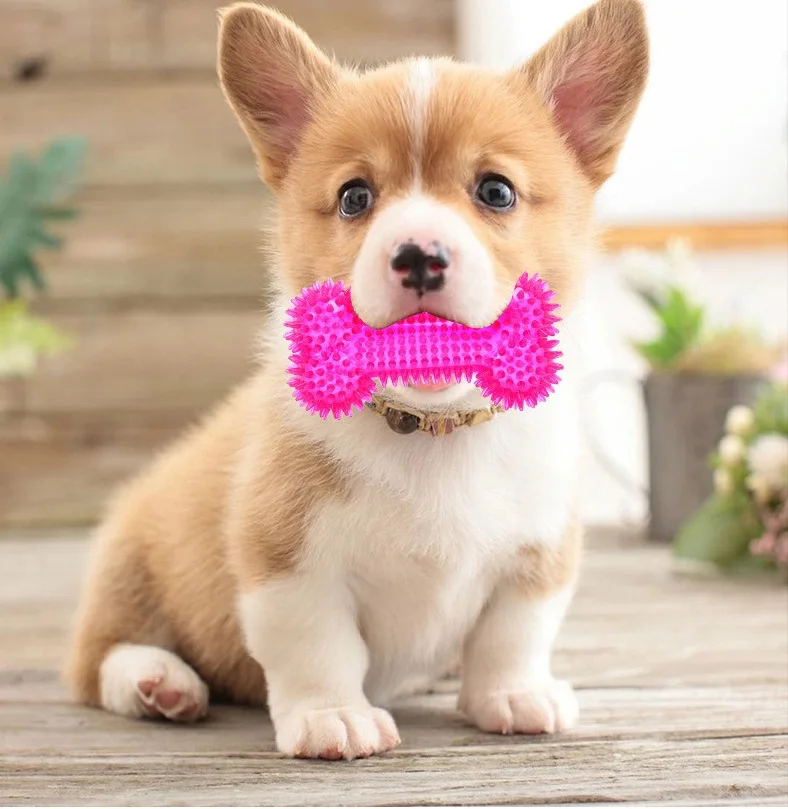 Top Selling Tpr Bone Squeaky Pet Training Dog Chew Toys Toothbrush Indestructible Dot Bone ...