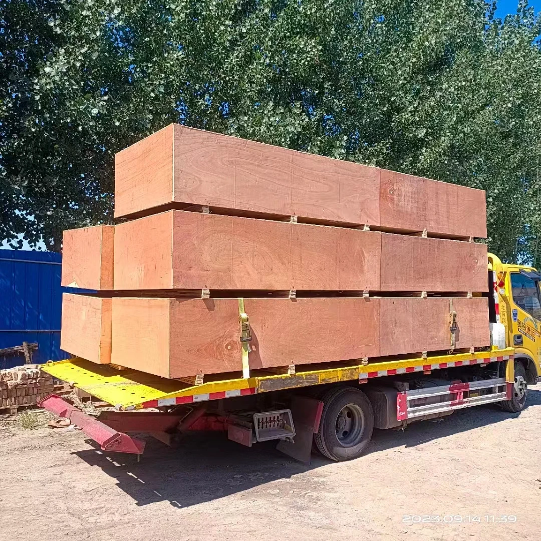 Hotel Laundry Sundries Elevator Restaurant Kitchen Mechanical Dog ...