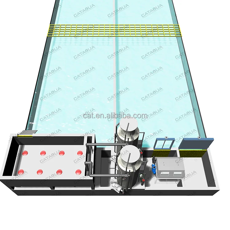 CATAQUA RACEWAY RAS System - Efficient Aqua Fish Farming