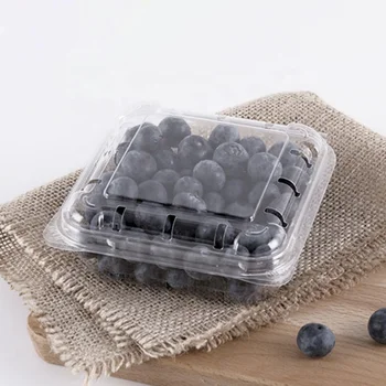 125g 250g 500g Plastic Fruit Packaging Clear Box Fruit Berry Strawberry ...