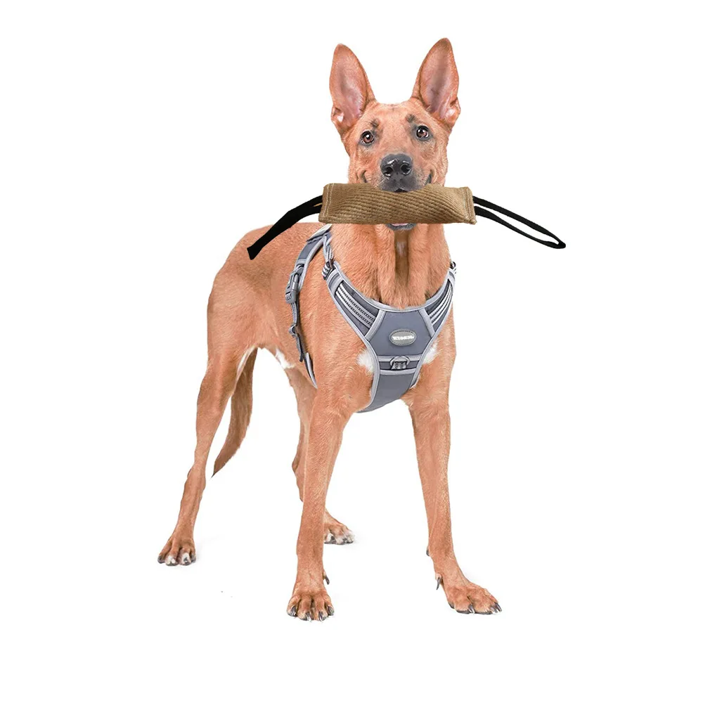 Wholesale 2024 High Filled Dog Bite Suit For Dog Bite Tug Pillow Jute ...