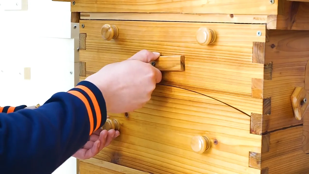Complete Auto Flowing Honey Bee Hive With 7pcs Automatic Self Flows ...