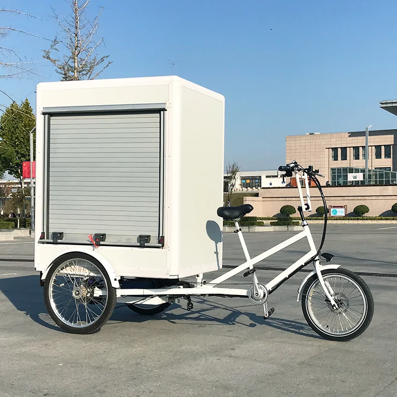 Cargo Mini Van Bike - Efficient Three-Wheel Electric Vehicle