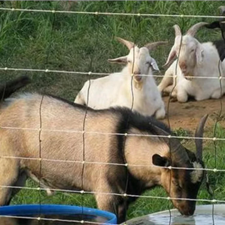 Fixed Knot Woven Wire Field Fence Roll Goat Hog Fencing Wire Mesh ...