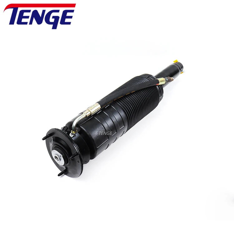 A2203208313 Hydraulic Abc Front Shock Absorber Strut For Mercedes W220 ...