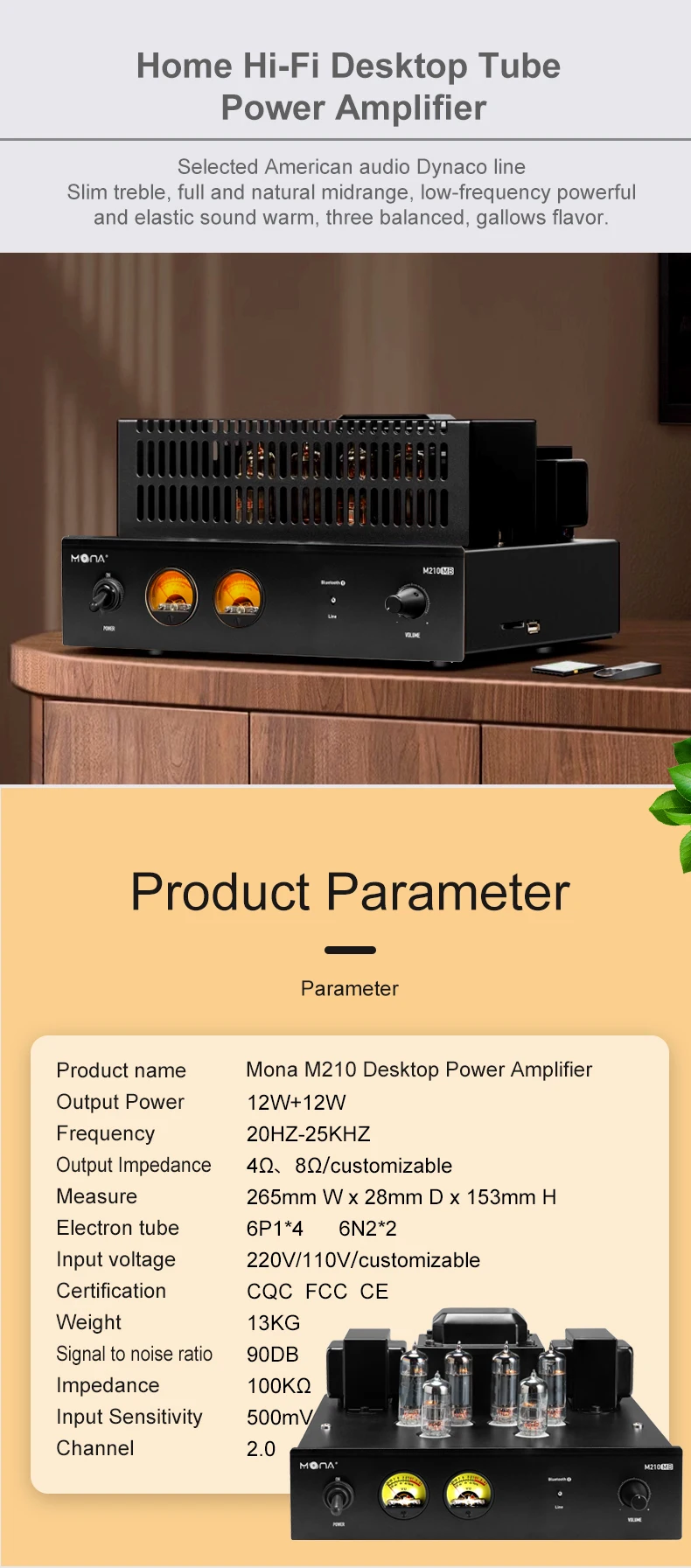 Compact 12W Home Audio Power Amplifier M210-MB 110V/220V
