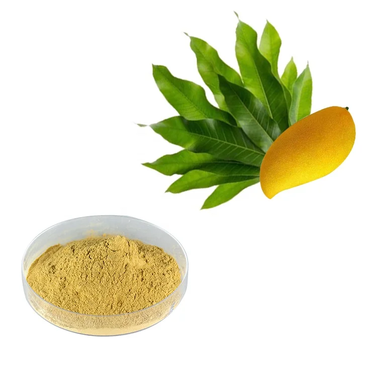 HONGDA Mangiferin 90% Mango Leaf Extract for Health Protection