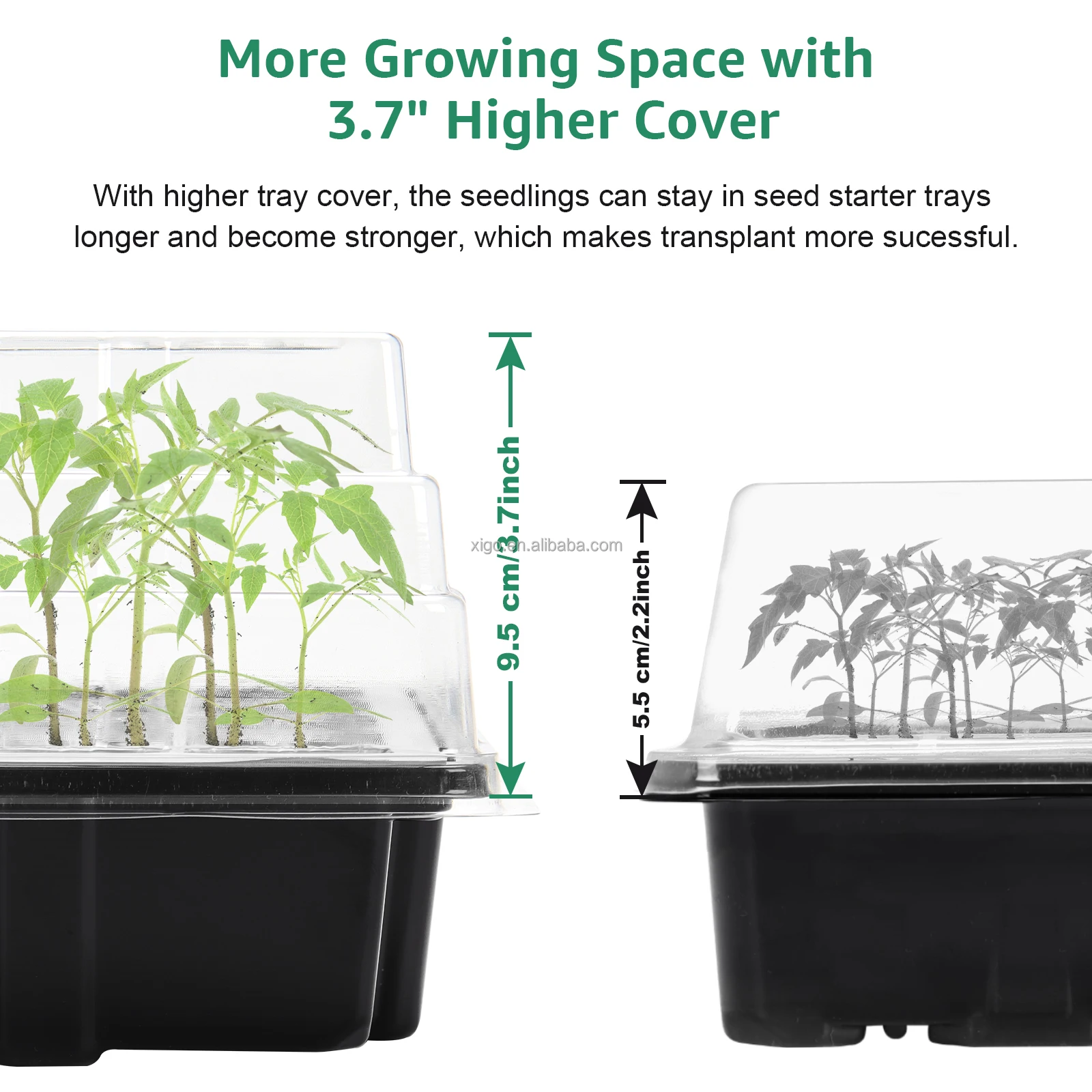 40 Cells Sapling Germination Kit for Seeds' Starting Tray With ...