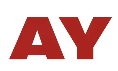 Company Overview - Shanghai Ay Auto Parts Co., Ltd.