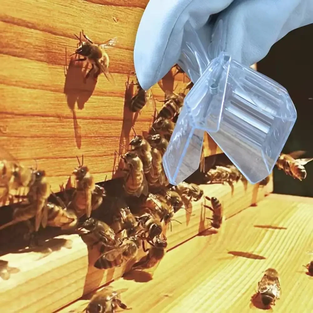 Beekeeping Equipment Plastic Queen Bee Catcher For Bee Cages - Buy Bee ...