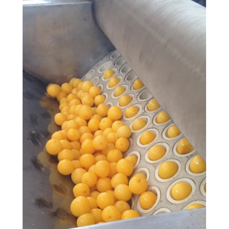 Roller Type Cherry Pit Seed Remover Machine Destoner Plum Olive Pitting ...