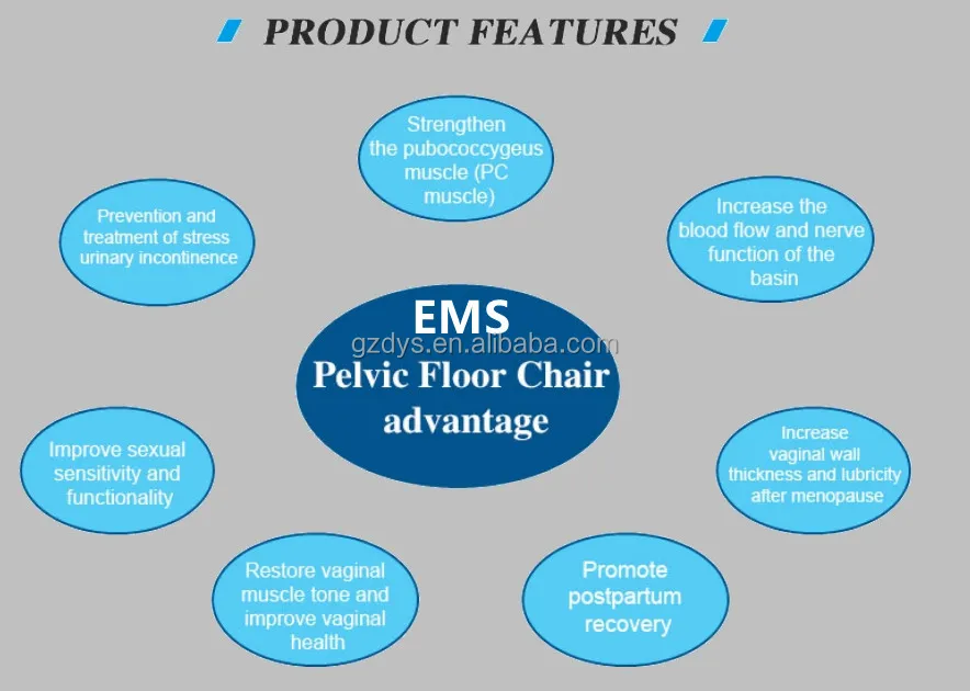 Pelvic Floor Exerciser Ems Chair Muscle Urinary Incontinence Ems Pelvic ...