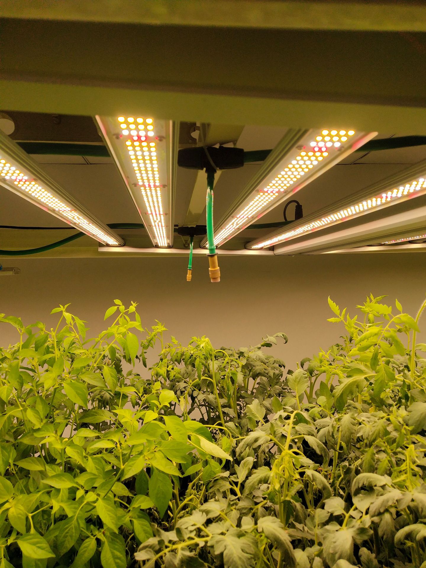 Multi Level Grow Rack System Aluminium Vegetable Growing Hydroponic ...