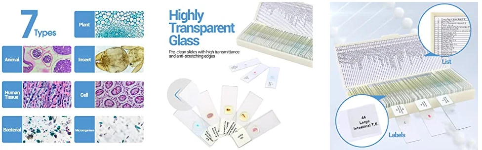 60pcs Microscope Slides For Kids And Adults With Botany Prepared Slides ...
