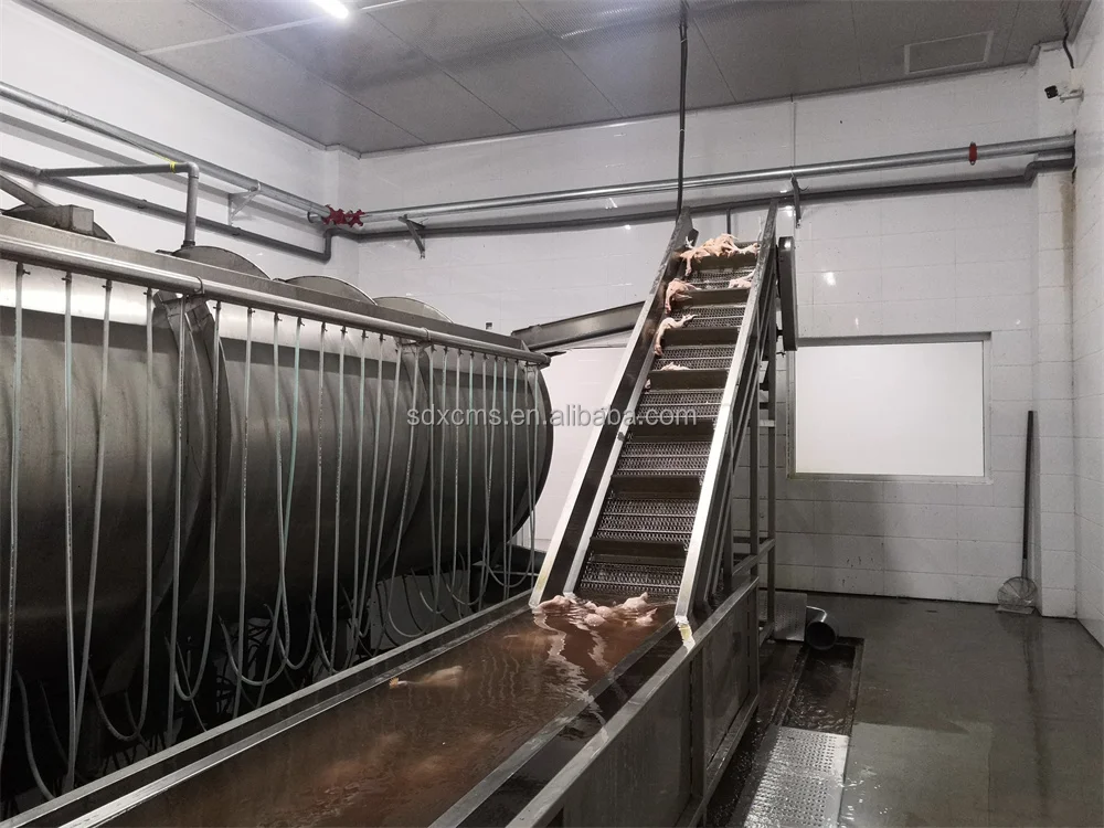 1000/hour Chicken Slaughter Line - High Efficiency Poultry Processing