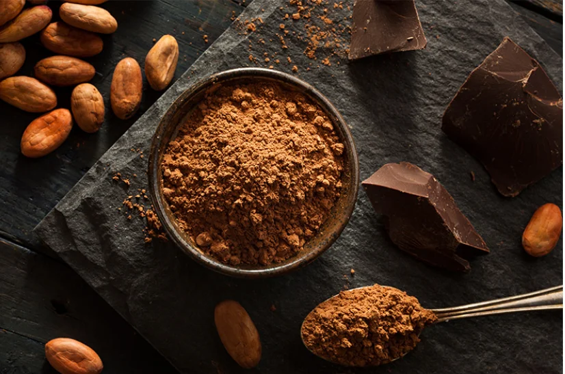 FSSC22000 GMP Certificate Factory Supply Pure Defatted Cocoa Powder ...