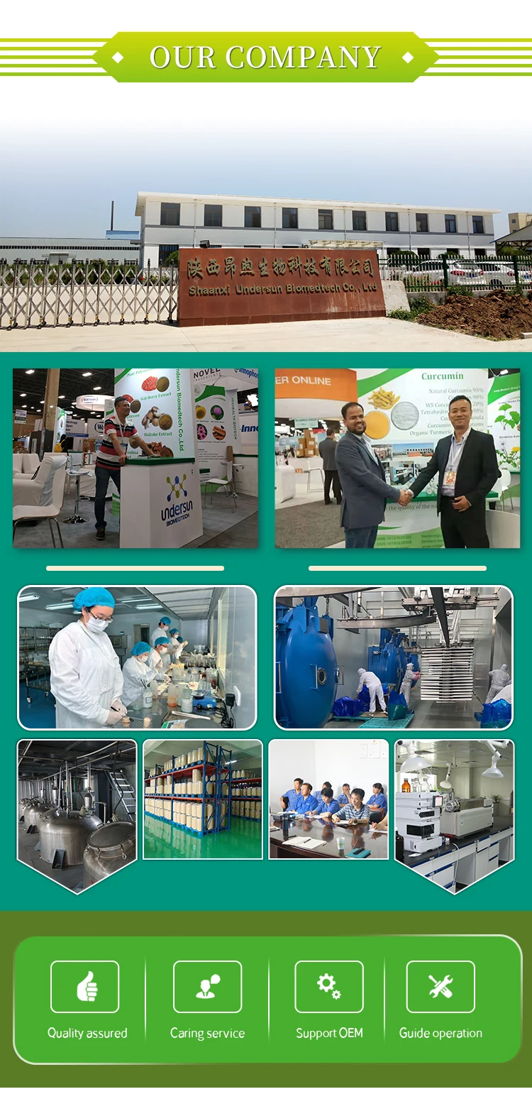 High Quality Pure Capsaicin Manufacturers/white Capsaicin Powder Food ...