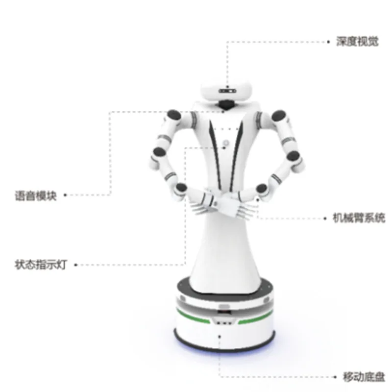 Custom Light Load Composite Mobile AGV Collaborative Robotic Arm Dual ...