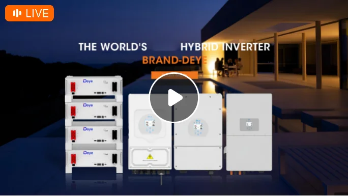 Chinese New Year Promotion Season Product Show Stream 2024 - Alibaba.com