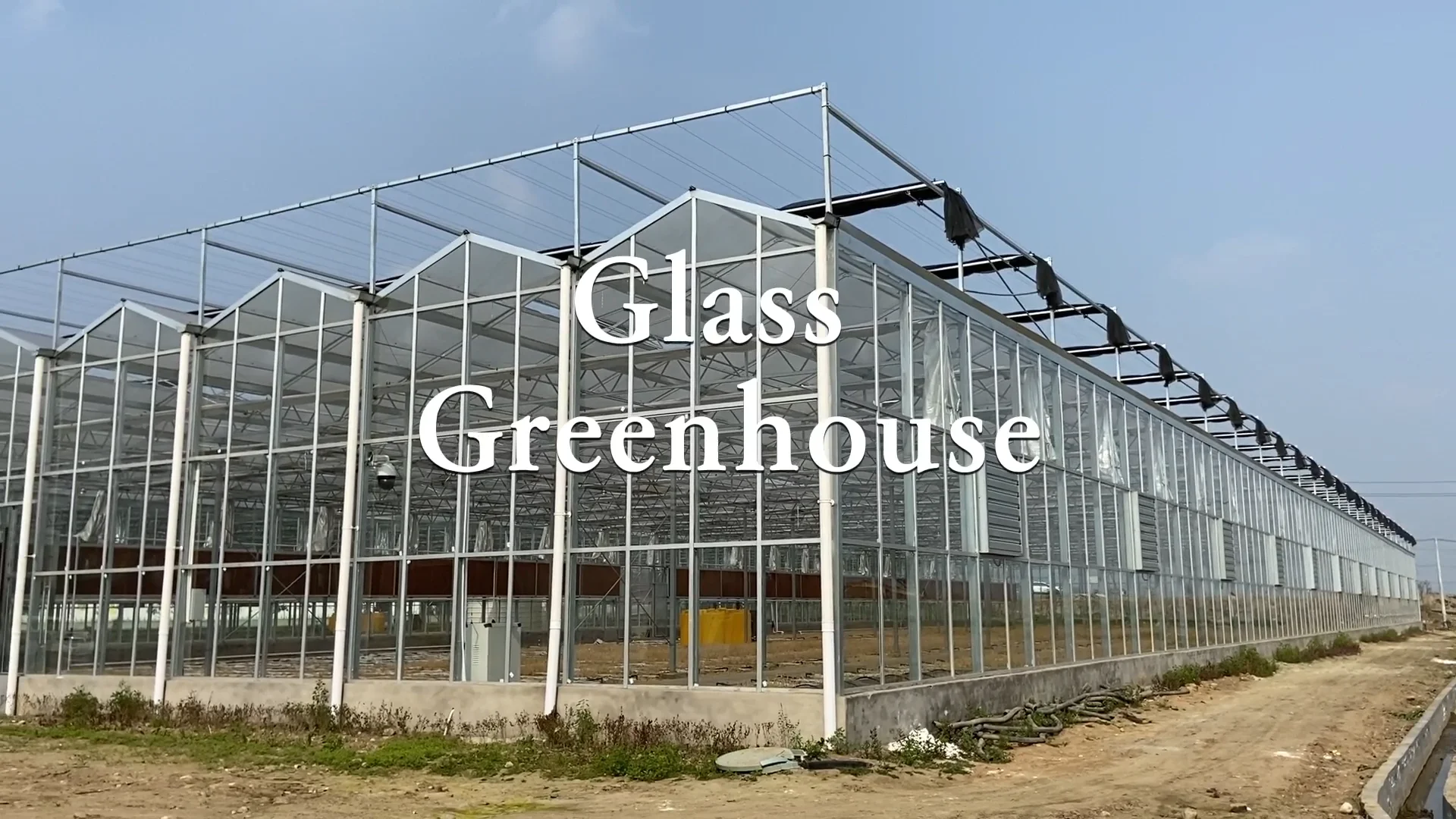 Multi-span Greenhouse Modern Industrial Multispan Venlo Multispan Glass ...