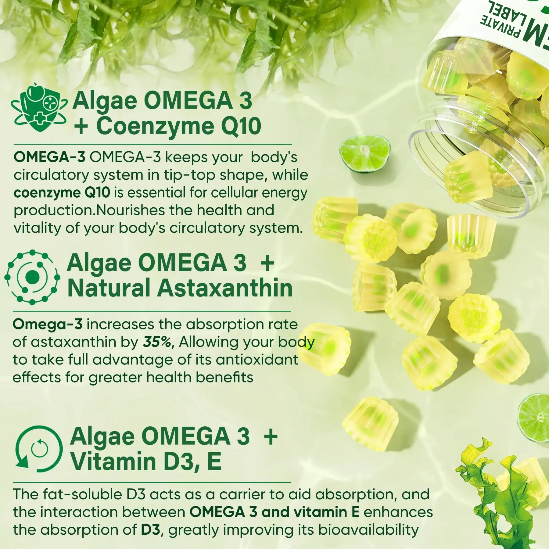 Vegan Omega 3 Filled Gummies Supplement With Dha Epa Marine Algal Oil ...