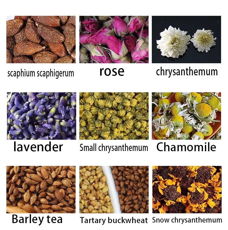 Scaphium Scaphigerum Round Fruit Dried Fruits Excellent Quality High ...