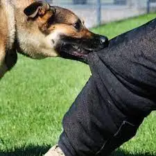 JHDTEX Anti Cut Puncture Bite Resistant UHMWPE Fabric