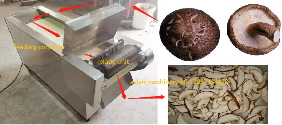 Mushroom Slicing Cutting Machine/commercial Mushroom Slicer - Buy ...