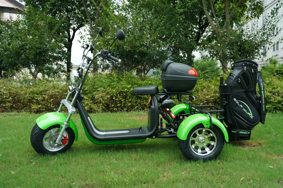 Electric Trike 3 Wheel E Scooter - 2000W Power & 80KM Range