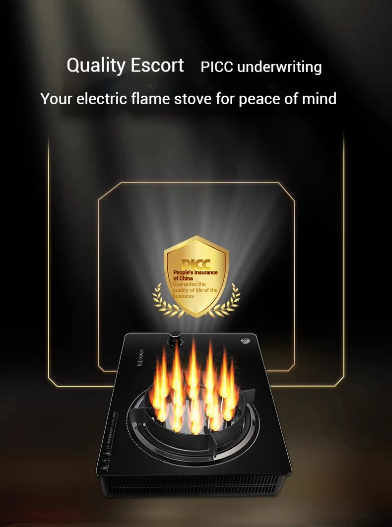 2025 New Technology 1 Burner Electric Flame Stove Without Gas Pure ...