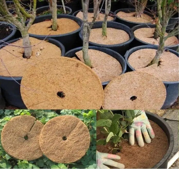 11.8" Coco Coconut Palm Coir Fiber Tree Mulch Ring Protector Mat Liner ...